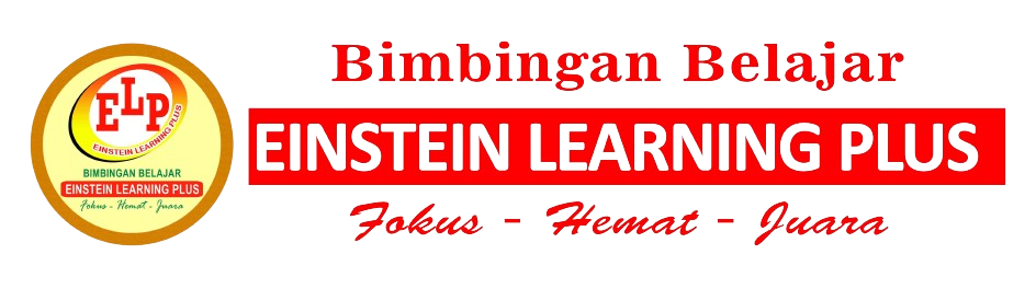 Einstein Learning Plus